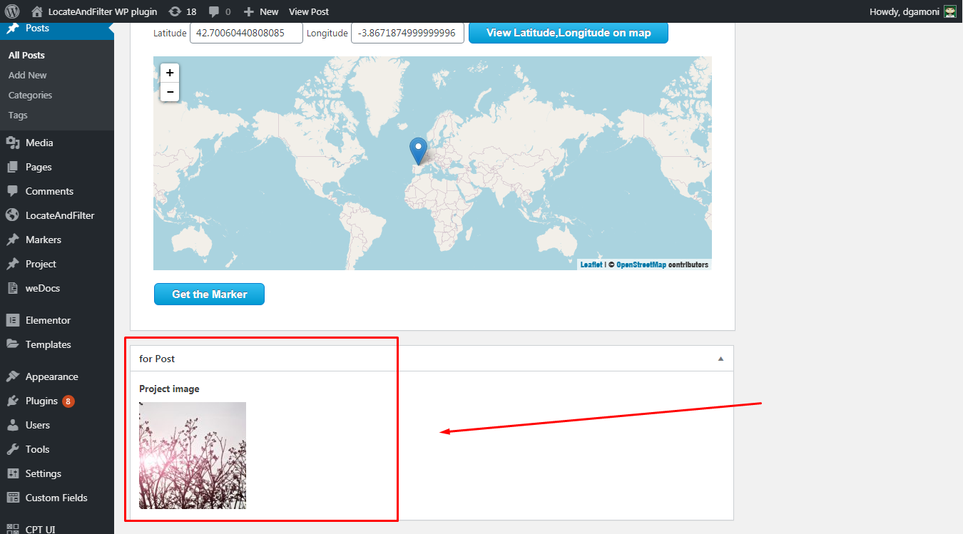use Custom Field in tags – PRO feature – LocateAndFilter WP plugin